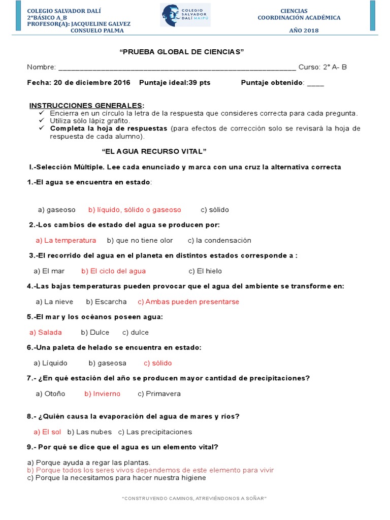 Corregida Prueba Global de Ciencias Segundo Basico | PDF | Herida ...