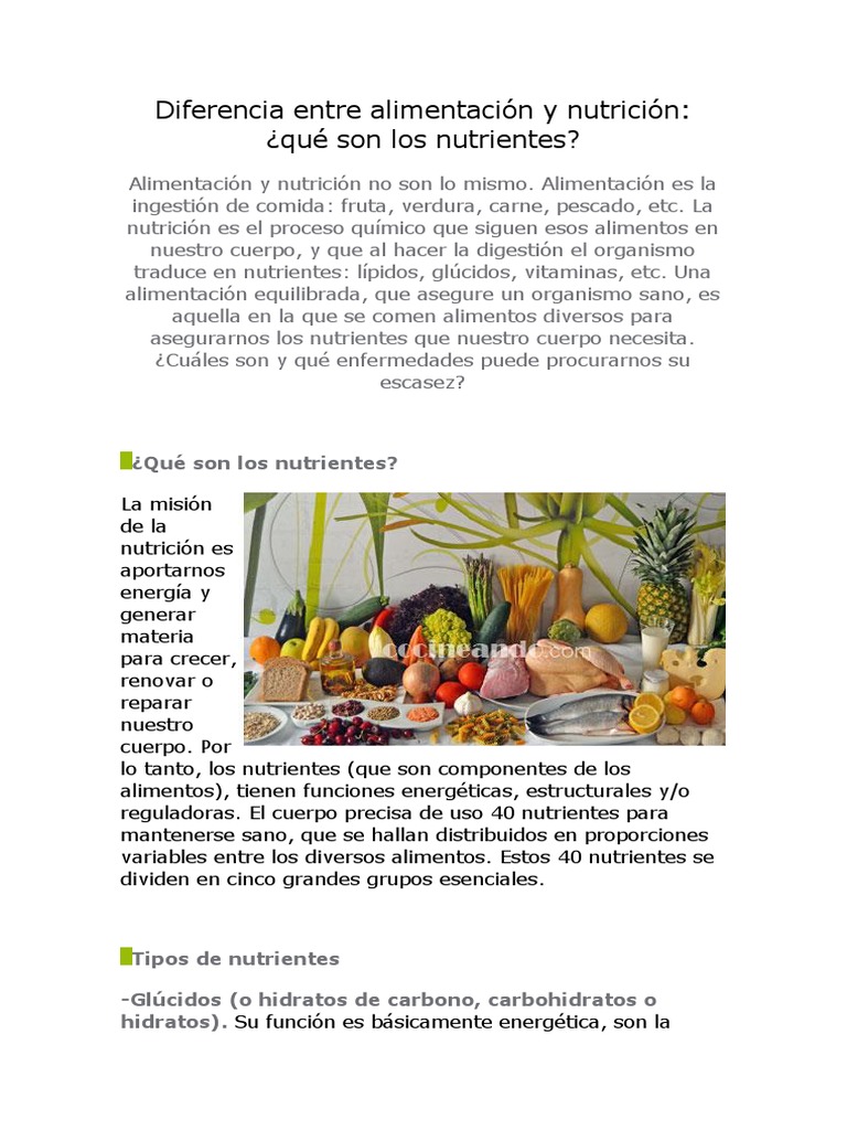 Diferencia Entre Alimentación Y Nutrición Pdf Nutrientes Alimentos