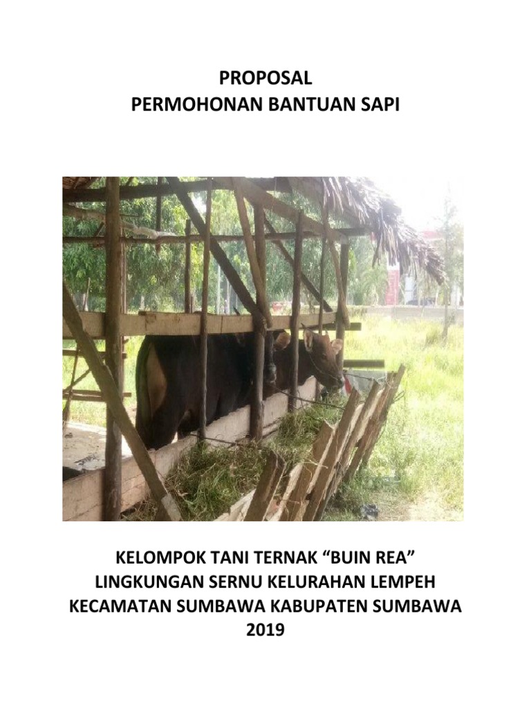 Proposal Ternak Sapi | PDF