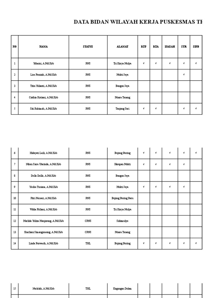 Data Bidan PKM TKM | PDF