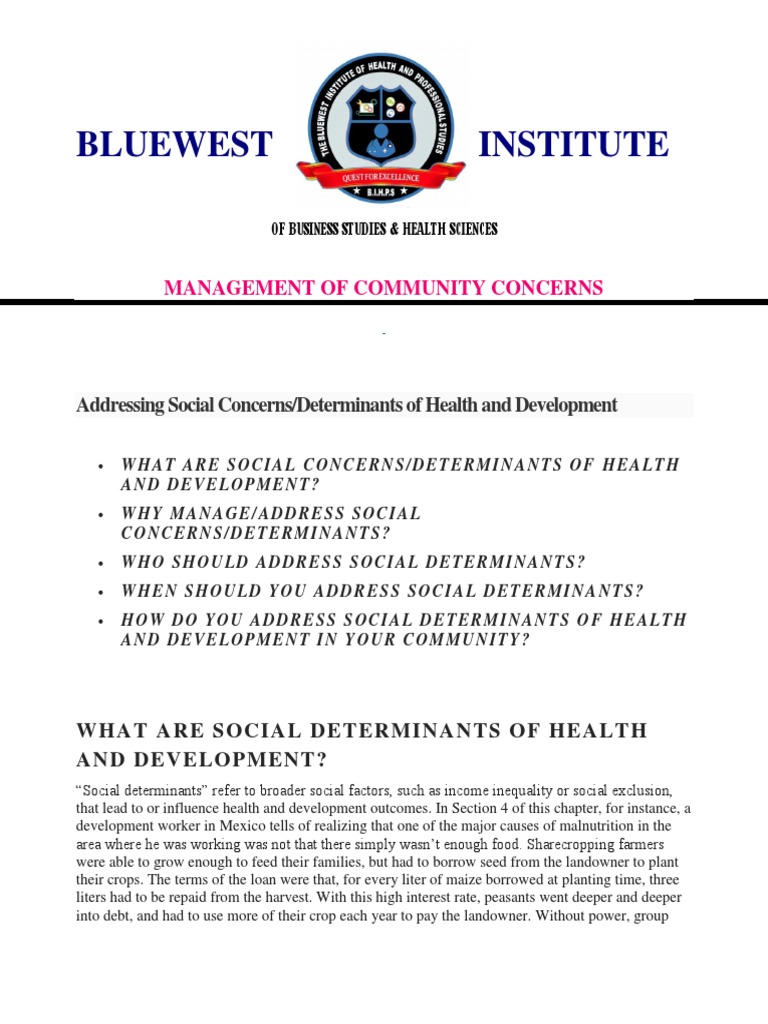 Community Concerns 1 | PDF | Community | Social Group