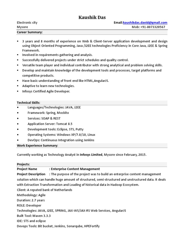 Java Developer Profile | PDF | Eclipse (Software) | Java (Programming ...