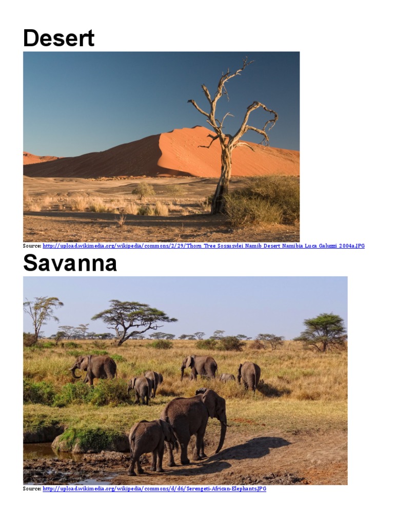 Biome Pictures Collection | PDF