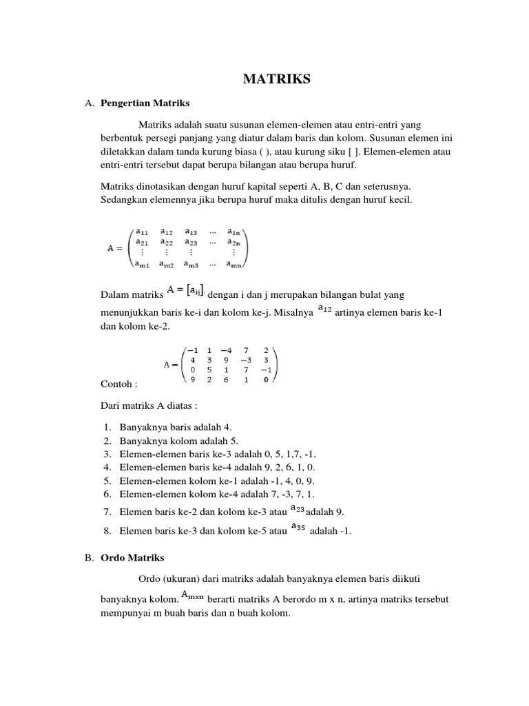Panduan Dasar Matriks | PDF