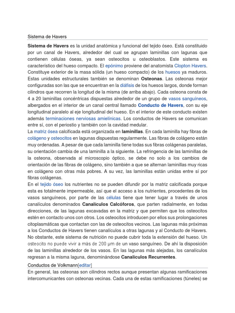 Sistema de Havers en Hueso Compacto | PDF | Articulación | Sistema ...