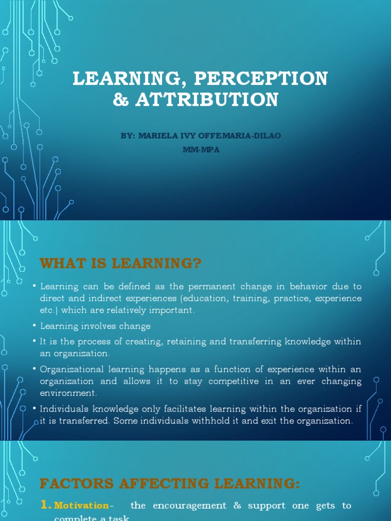 Organizational Learning Insights Pdf Classical Conditioning