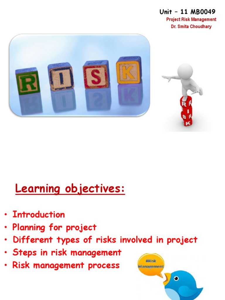 Project Risk Management | PDF | Risk Management | Brainstorming
