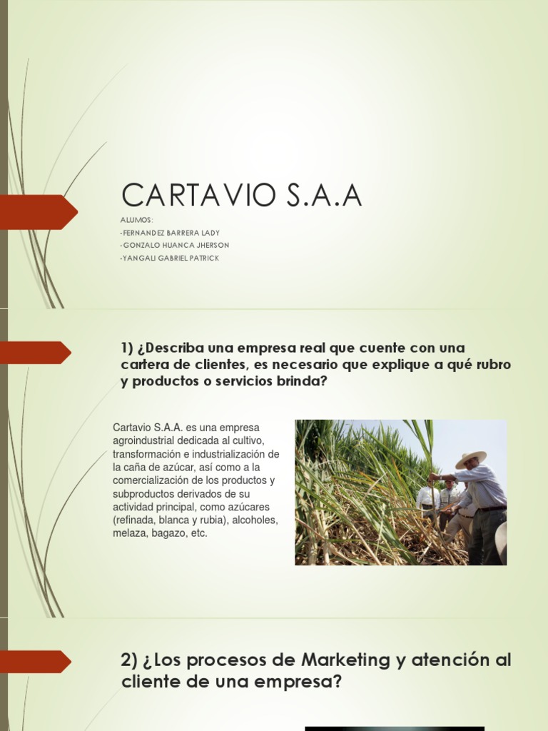 CARTAVIO | PDF | Gestión de la relación con el cliente | Marketing