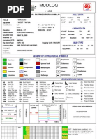 Quick Look Log Interpretation Guide | PDF | Shale | Limestone