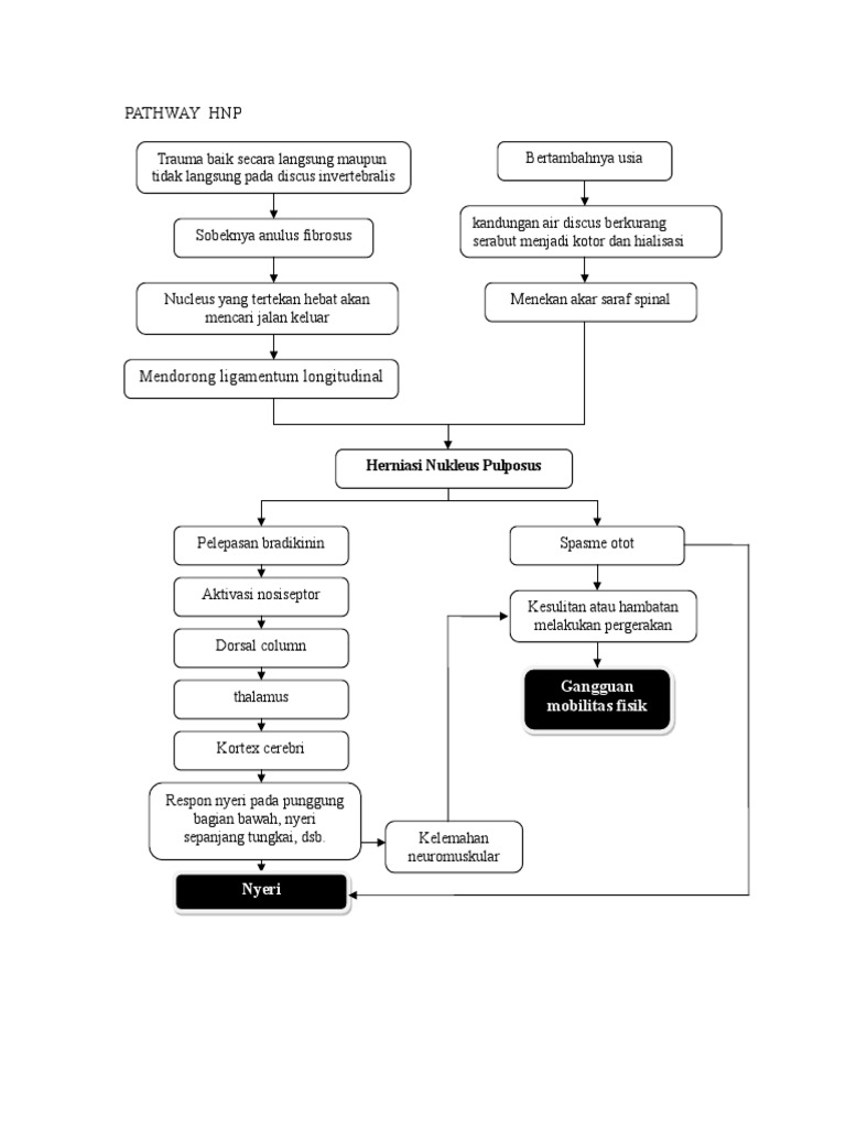 Pathway HNP | PDF