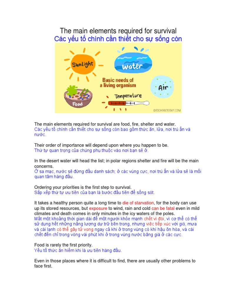 The Main Elements Required For Survival | PDF