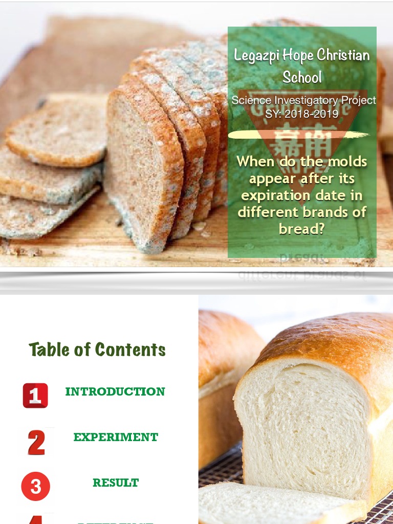 Science Investigatory Project Group 1 | PDF | Shelf Life | Breads