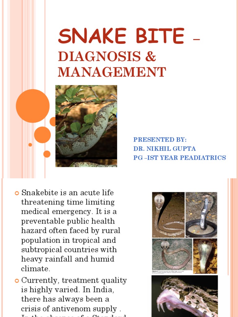 Snake Bite Ppt-1 | PDF | Intravenous Therapy | Diseases And Disorders