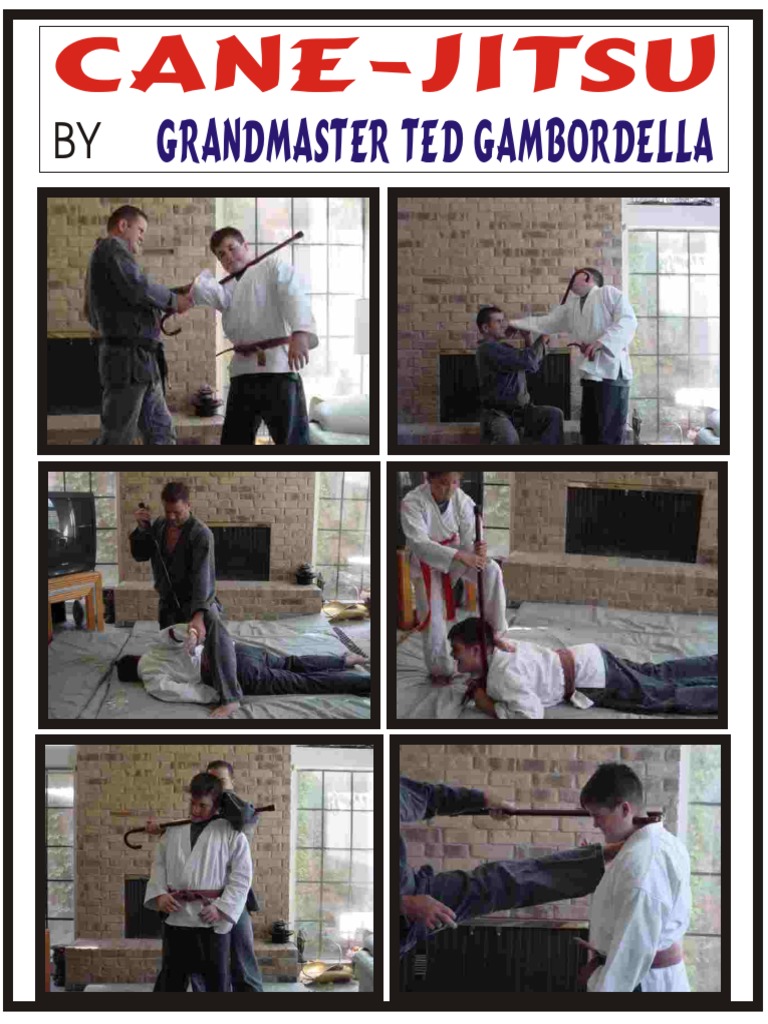 Cane Jitsu Atau Beladiri Dengan Tongkat PDF | PDF | Combat Sports | Sports