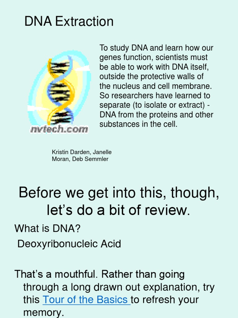 DNA Extraction Presentation | PDF