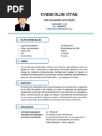 Ejemplo de CV Documentado | PDF | Ciencias de la Computación | Computadoras personales