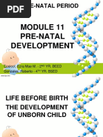 Prenatal Development | PDF | Prenatal Development | Fetus