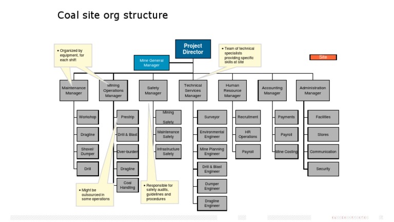 Mining Company Organizational Structure | PDF | Mining | Economic Geology