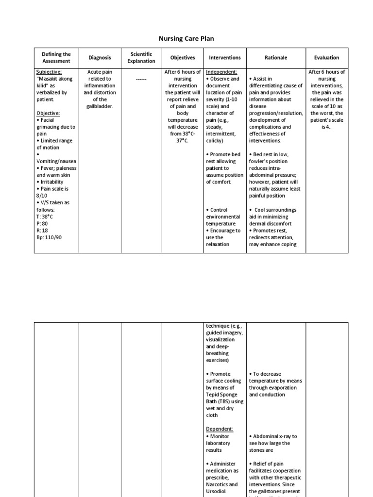 Nursing Care Plan: Defining The Assessment Diagnosis Scientific ...