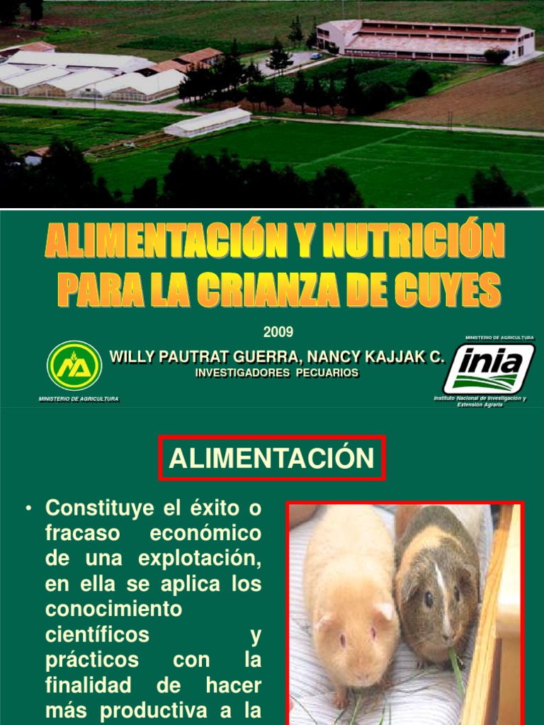 Alimentación y Nutrición de Cuyes | PDF | Alimentos | Nutrición