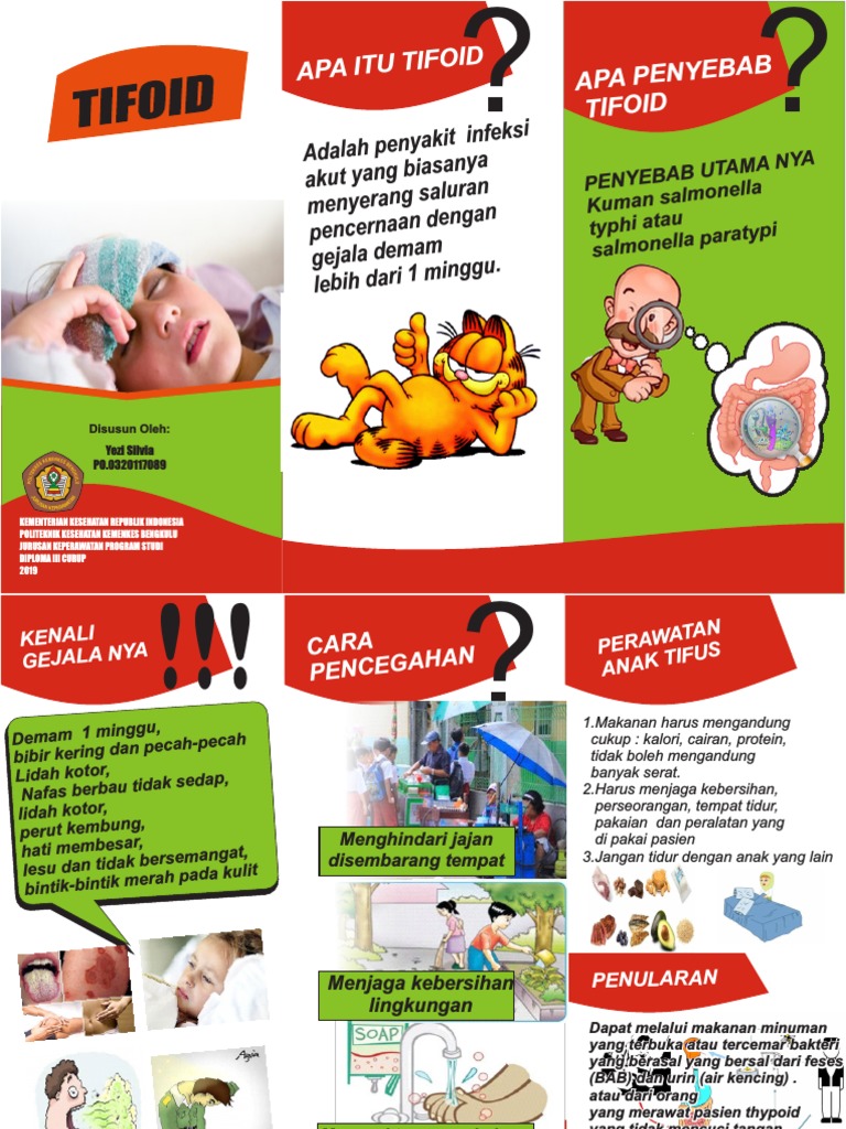 Leaflet Tifoid | PDF