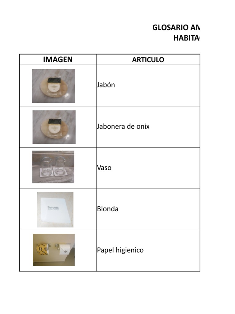 Housekeeper Vocabulary | PDF | Domestic Implements | Hygiene
