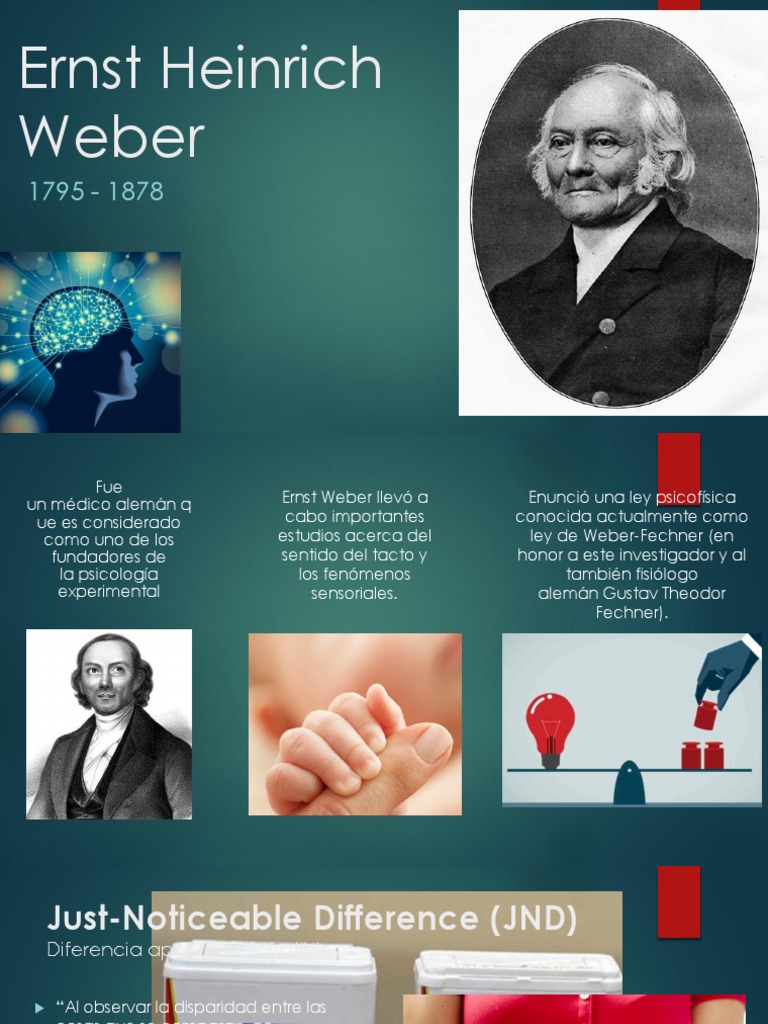 Ernst Heinrich Weber | PDF | Sistema nervioso | Evaluación neuropsicológica