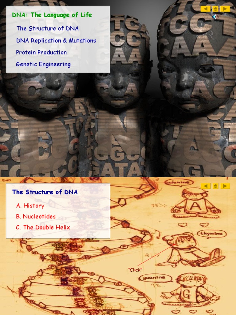 DNA - The Language of Life-H | PDF | Dna | Rna