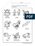 Animal Action Verbs - Movement | PDF