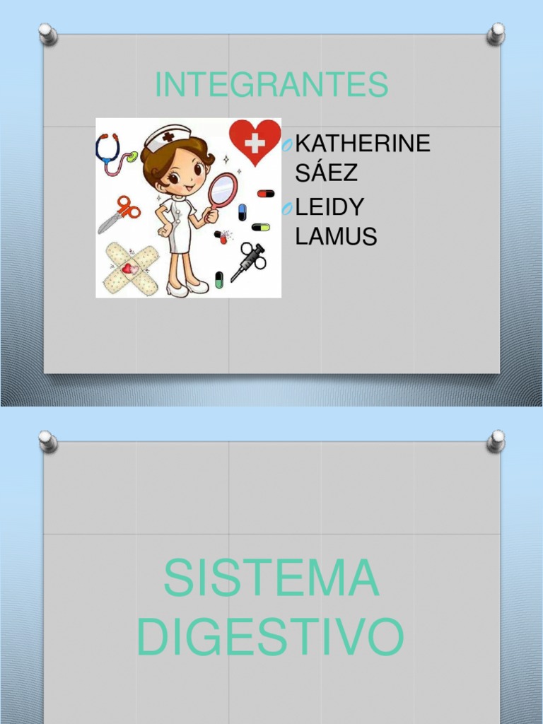 Diapositivas Del Sistema Digestivo | PDF | Sistema digestivo humano ...
