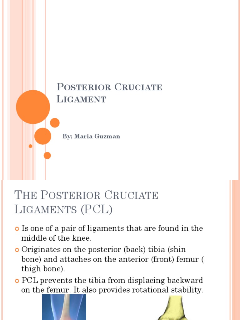 Understanding Posterior Cruciate Ligament Injury | PDF | Knee ...