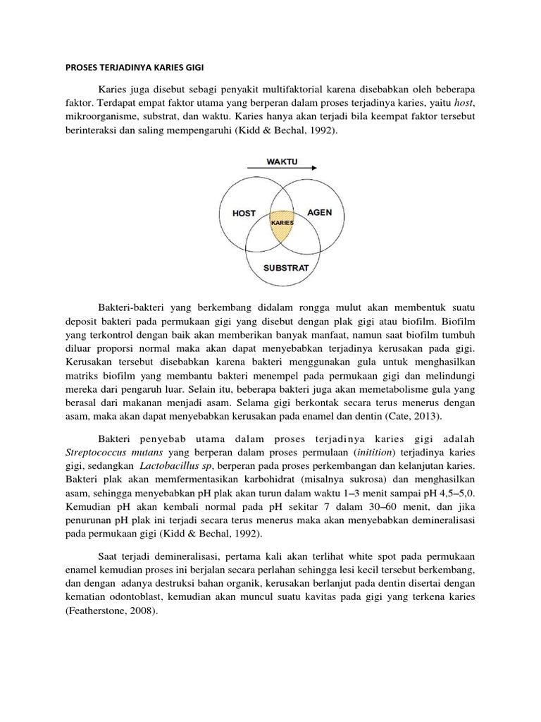 Proses Terjadinya Karies Gigi | PDF