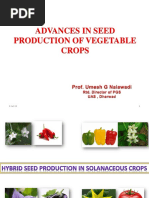 Single Seed Descent Method | PDF | Plant Breeding | Dominance (Genetics)