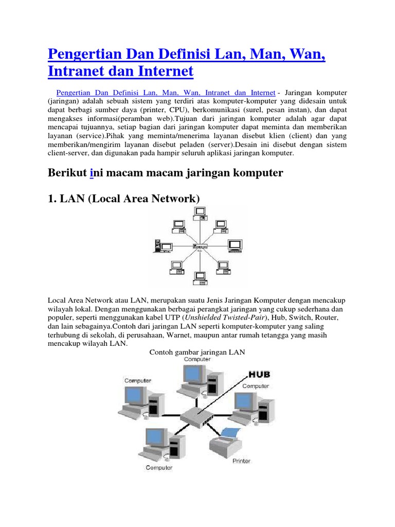 Pengertian Dan Definisi Lan Man Wan Intranet Dan Internet | PDF