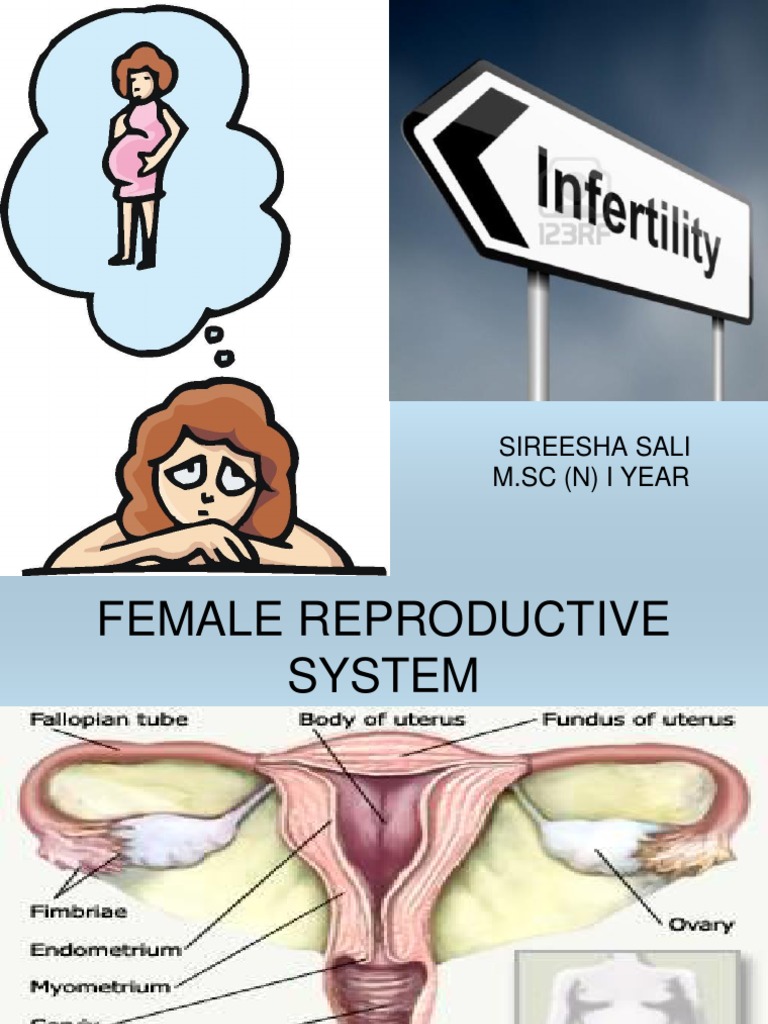 INFERTILITY | PDF | Infertility | Menstrual Cycle
