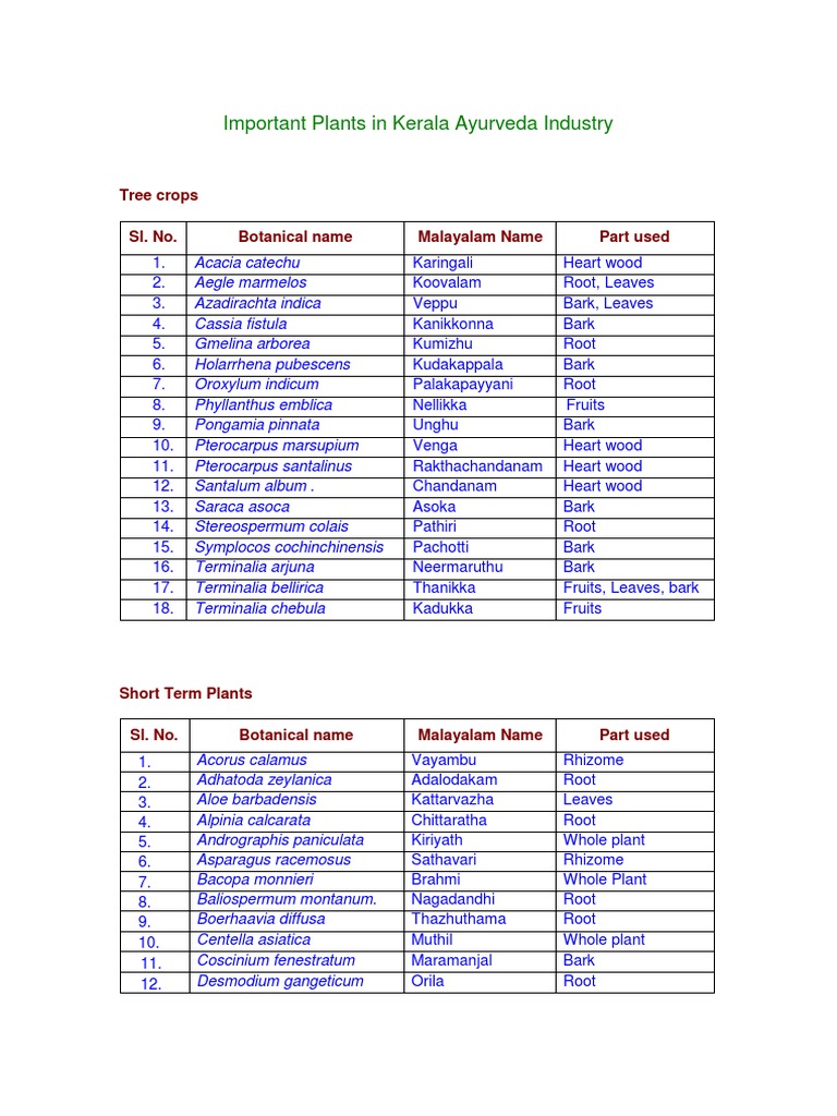 Important Plants in Kerala Ayurveda Industry: Tree Crops | PDF ...