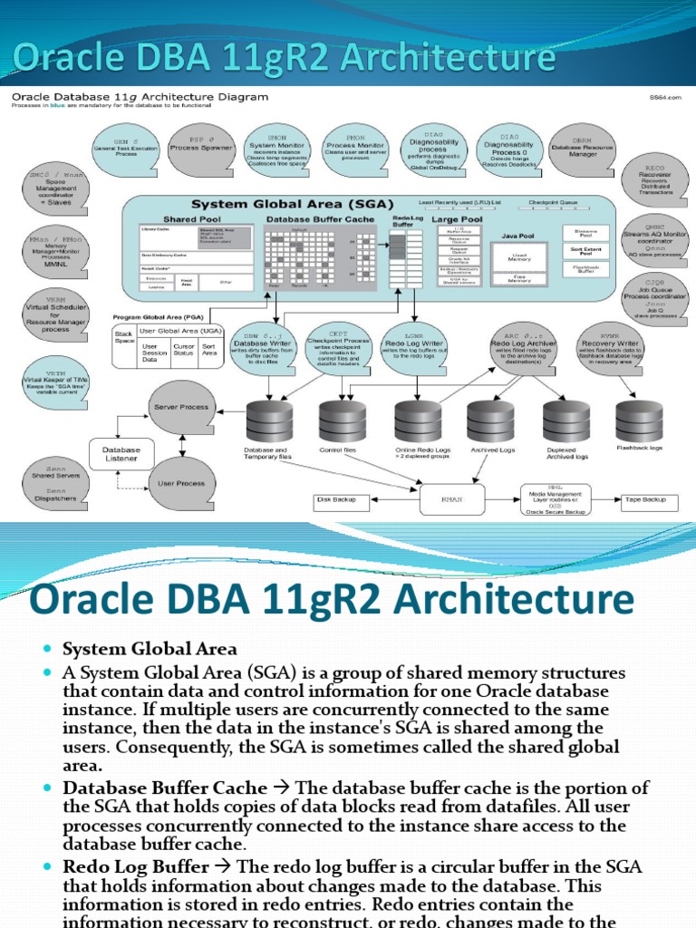 Oracle DBA 11gR2 Architecture | Download Free PDF | Cache (Computing) | Databases