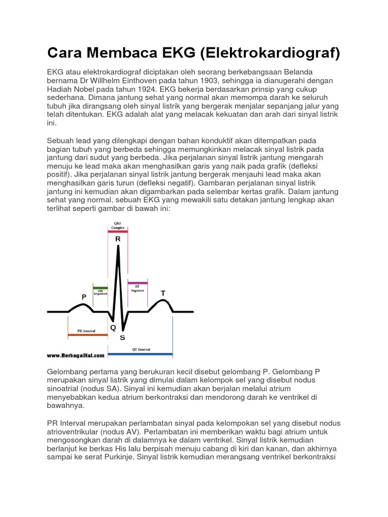 Materi EKG | PDF