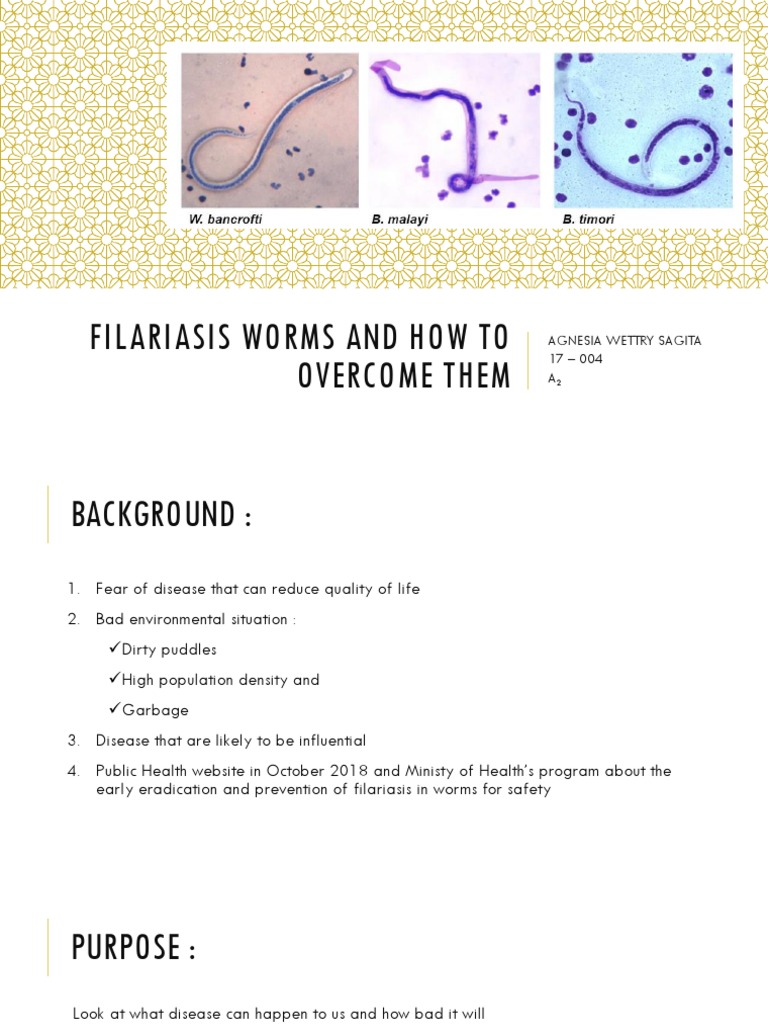 Agnesia Wettry Sagita 17 - 004 PDF | PDF | Self-Improvement