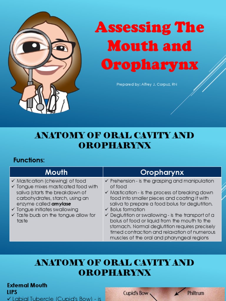 Normal Oropharynx