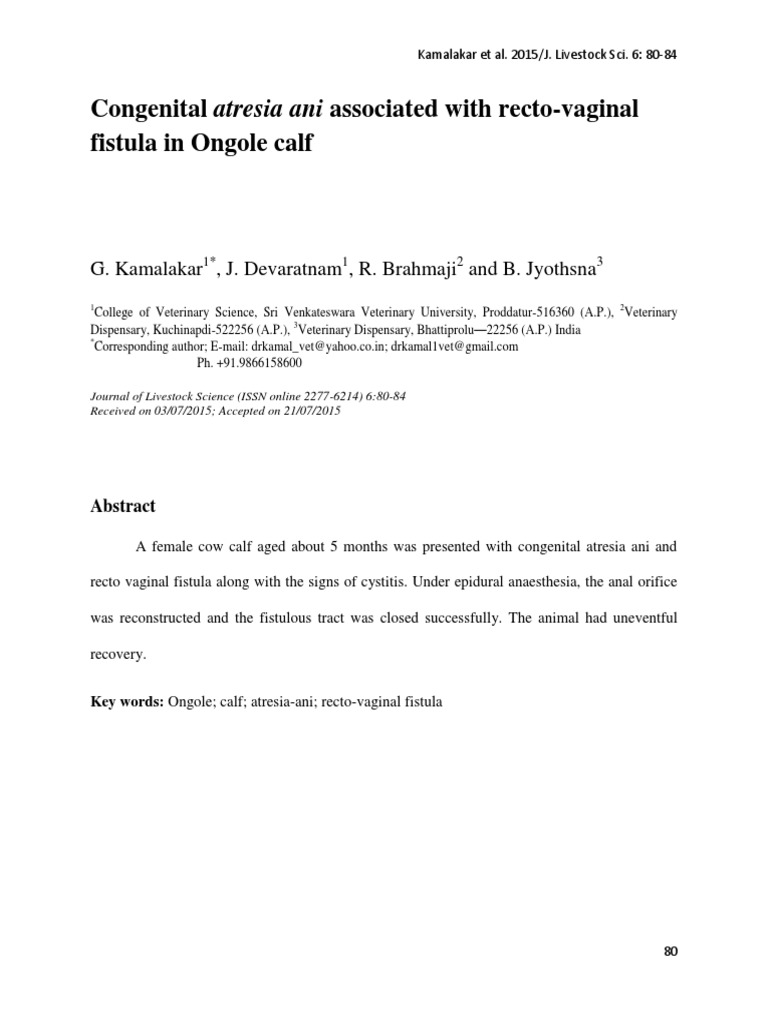 Atresia Ani Calf | PDF | Vagina | Rectum