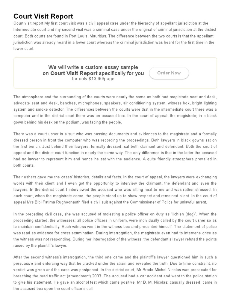 Court Visit Report | PDF | Witness | Lawsuit