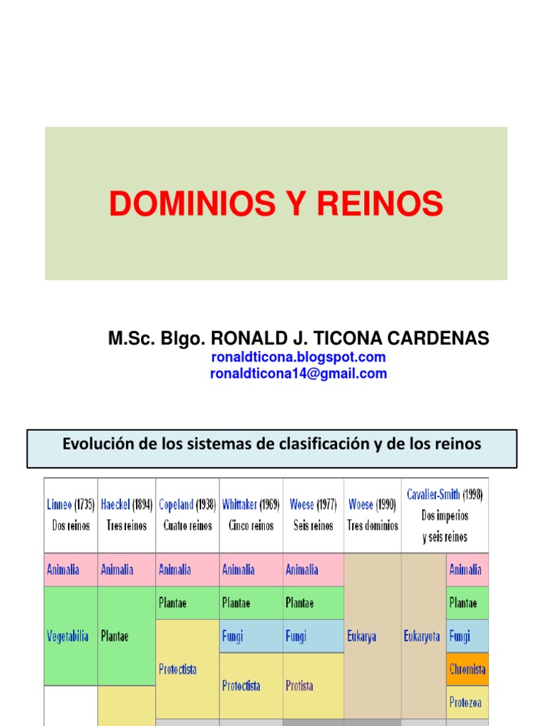 Dominios y Reinos de La Naturaleza | PDF | Plantas | Taxa