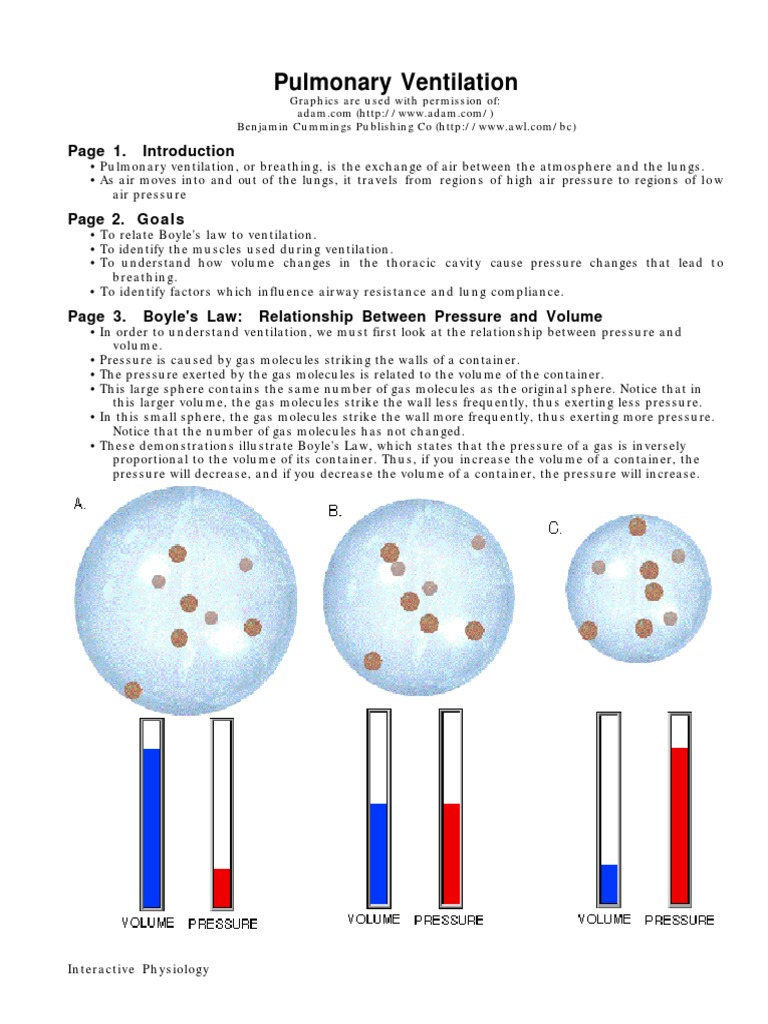 Pulmonary Ventilation PDF | PDF | Lung | Exhalation