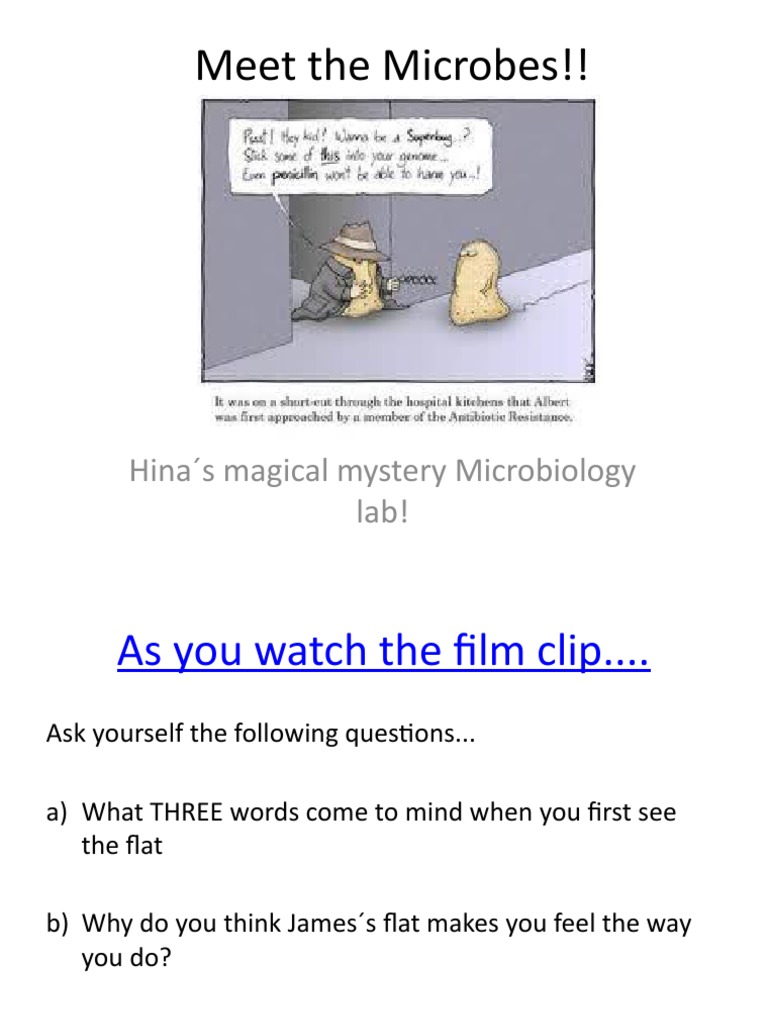 Meet The Microbes!!: Hina S Magical Mystery Microbiology Lab! | PDF | Microorganism | Agar