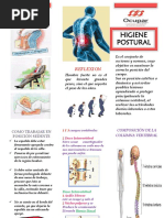 Triptico Higiene Postural | PDF | La columna vertebral | Anatomía humana