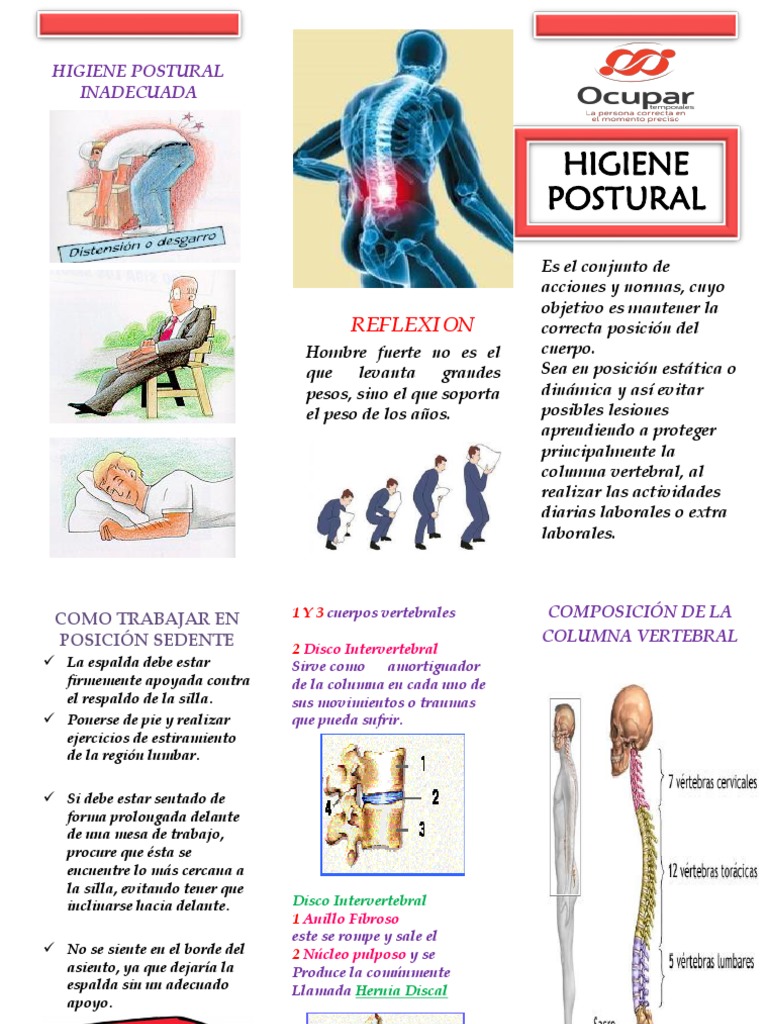FOLLETO Higiene Postural | PDF | Dolor lumbar | La columna vertebral
