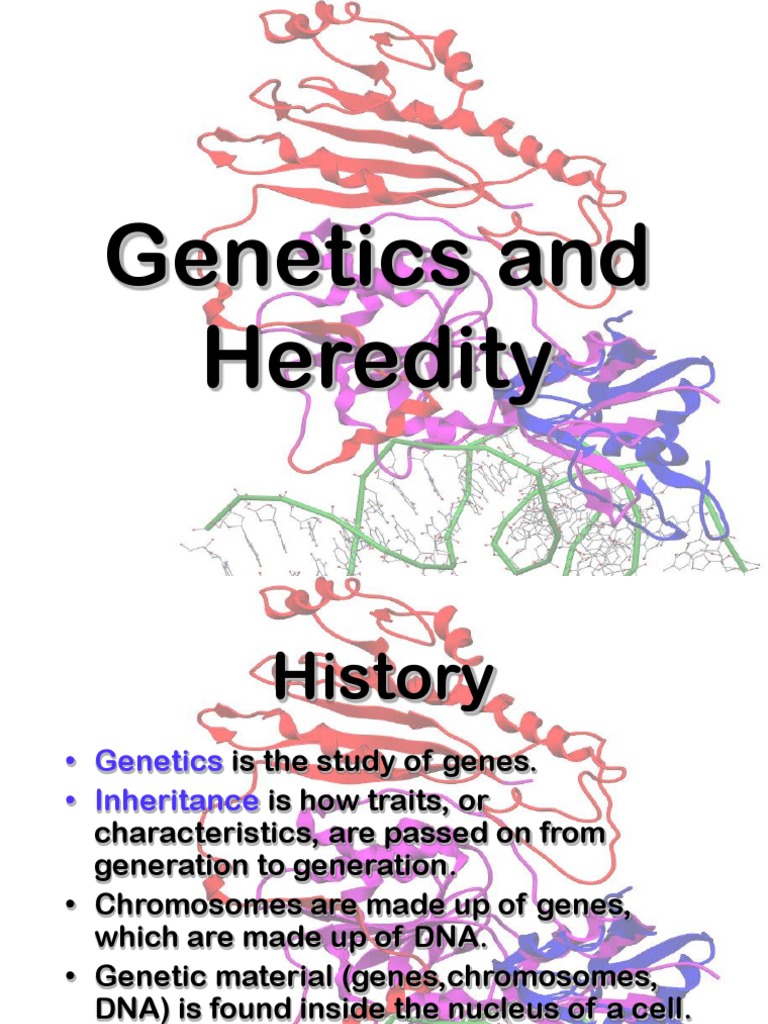 8 Genetics | PDF | Allele | Dominance (Genetics)