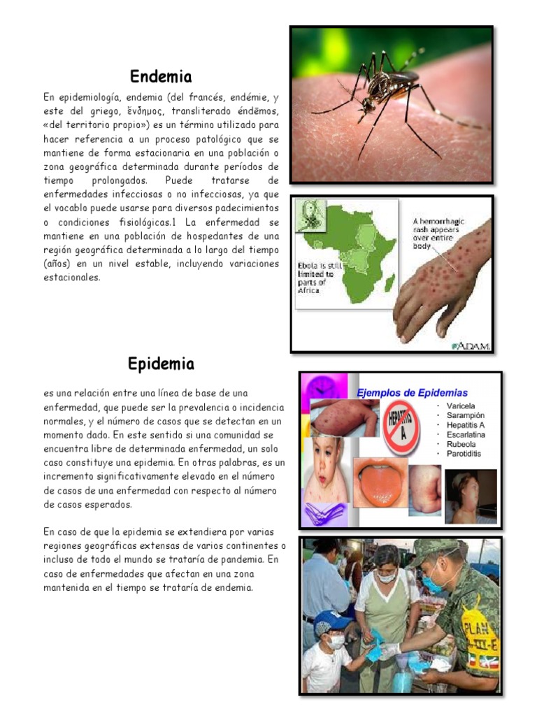 Definición y ejemplos de endemia | PDF | Epidemias | Influenza