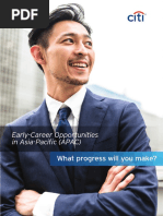 Citi Bank Title Hierarchy Overview | PDF